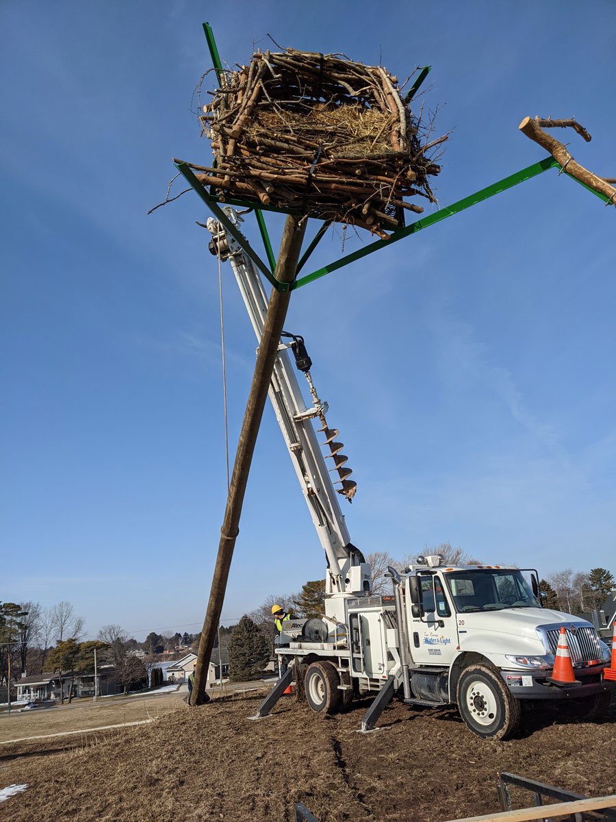 Osprey Nest Built and Installed (Update) | Van der Brohe Arboretum