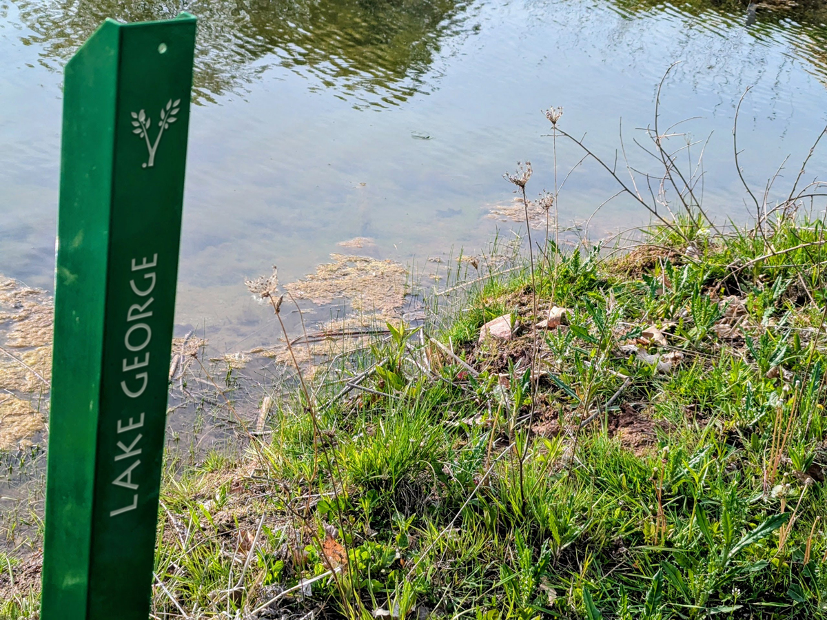 Riverview Ponds | Van der Brohe Arboretum